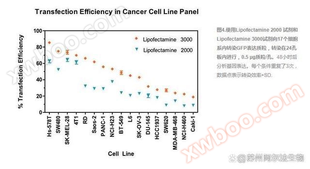 Lipofectamine 3000 转染试剂-LIP30002-苏州阿尔法生物实验器材有限公司